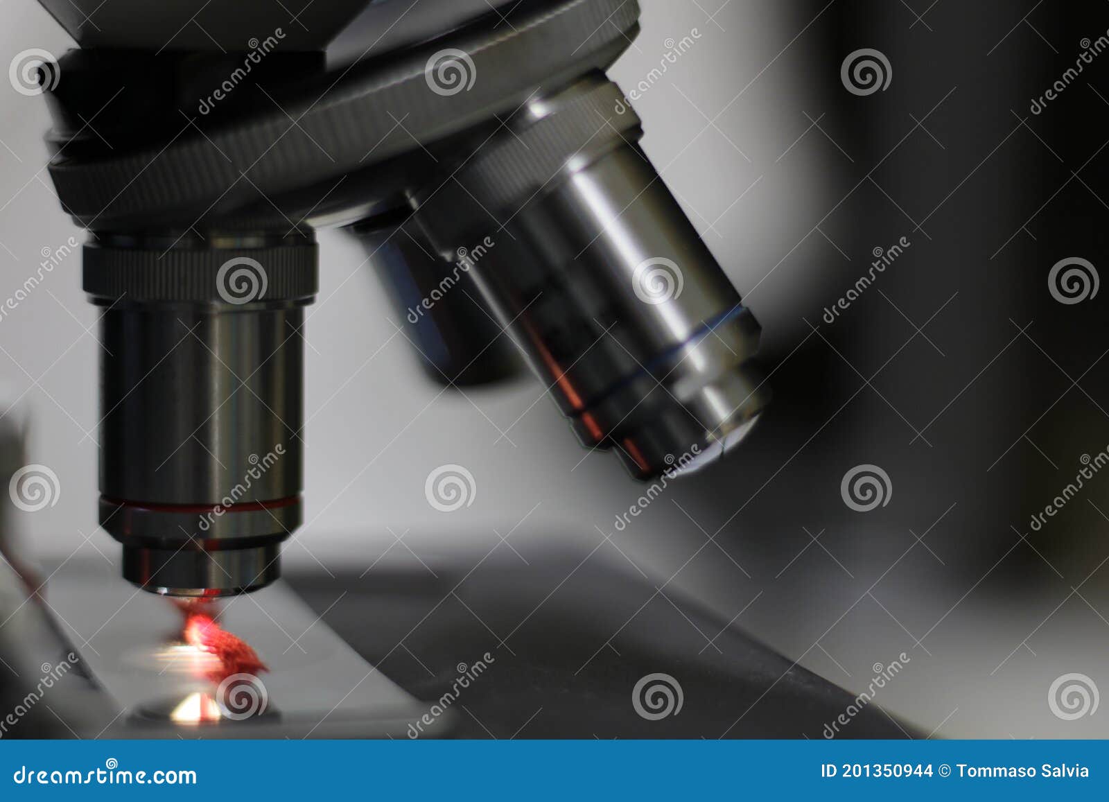 Side View of a Microscope while Analyzing a Red Woolen Thread. Stock ...