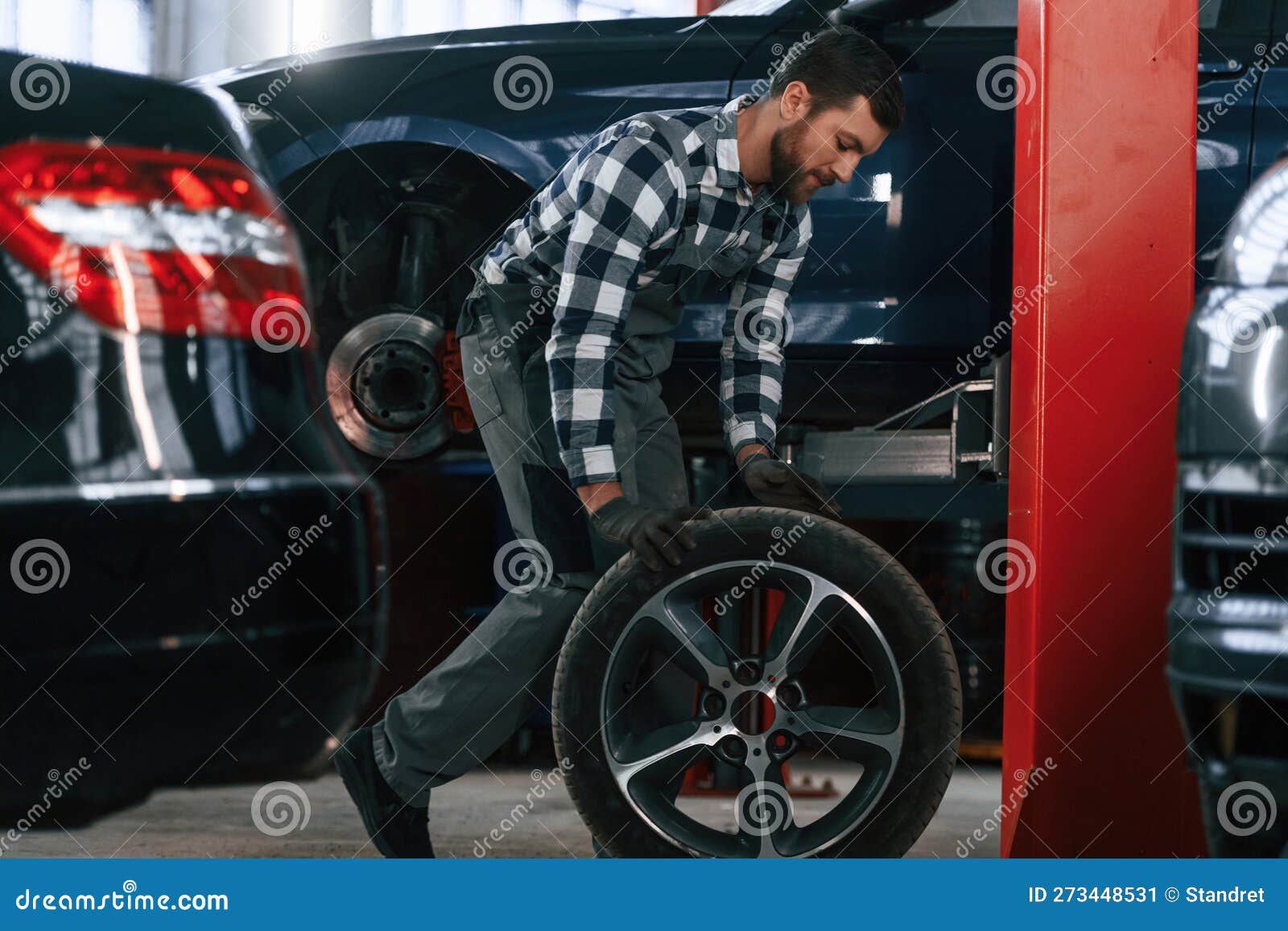 Side View. Moving the Tire for the Car Stock Image - Image of problem ...