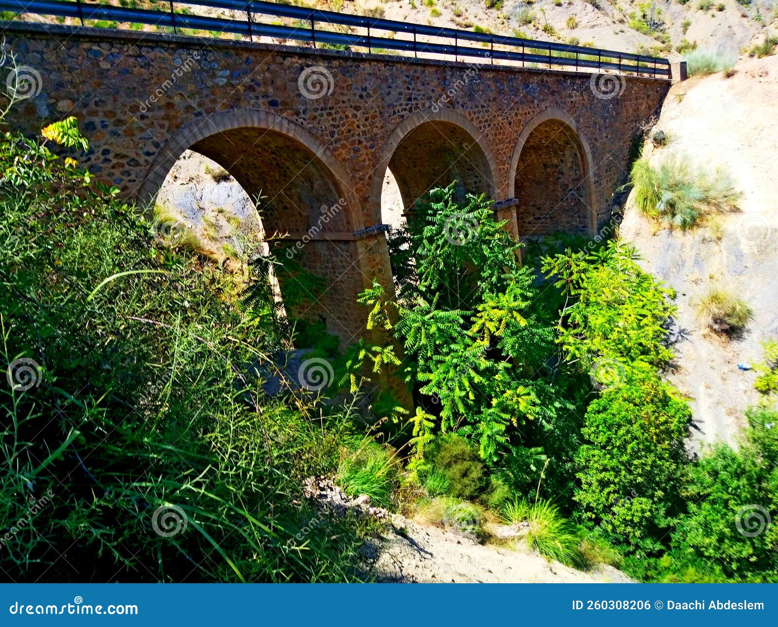 Side View of the Old Stone Bridge Stock Photo - Image of travel, tree ...