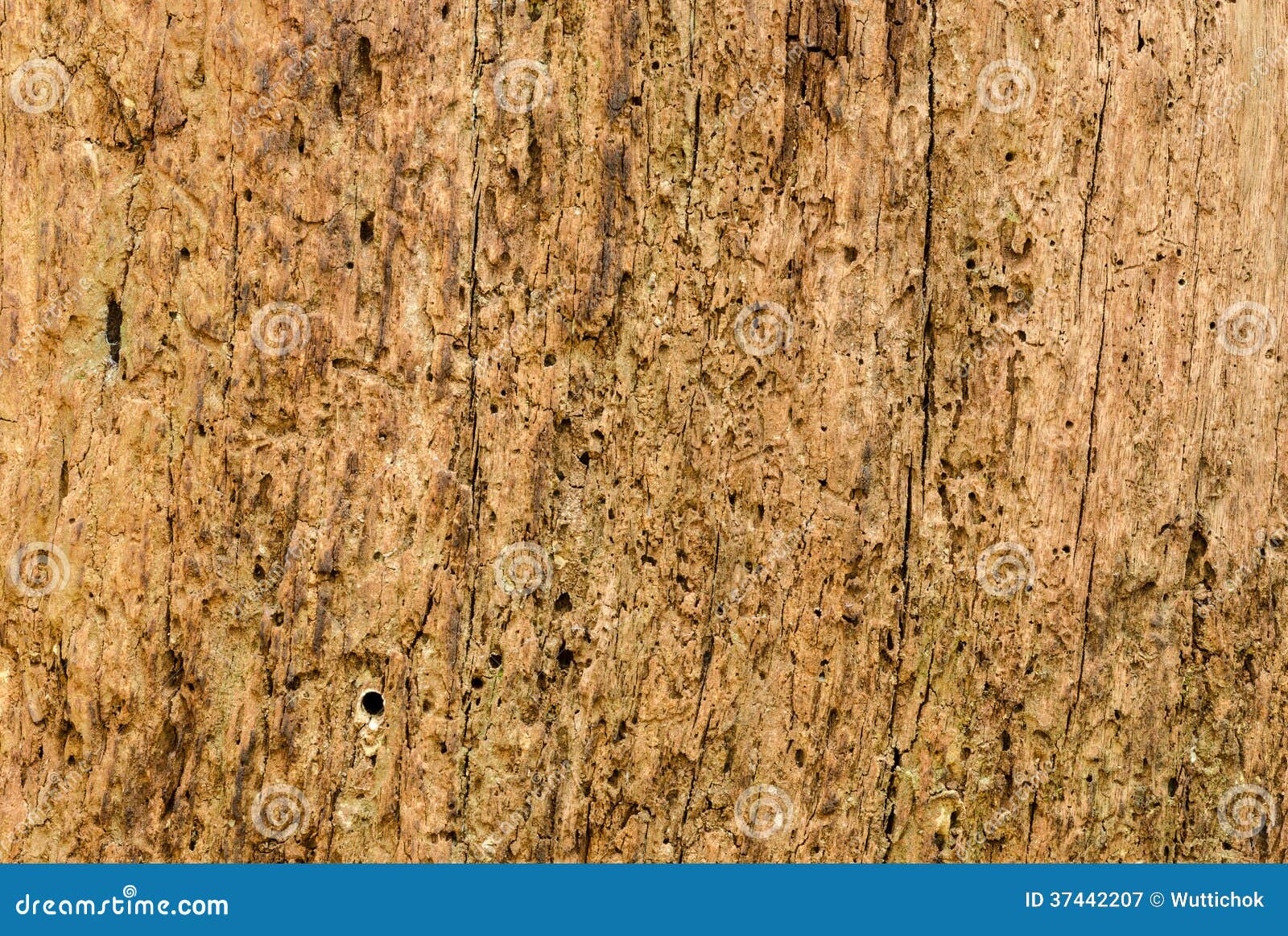 Side View of Old Wood Texture Stock Image - Image of grain, macro: 37442207
