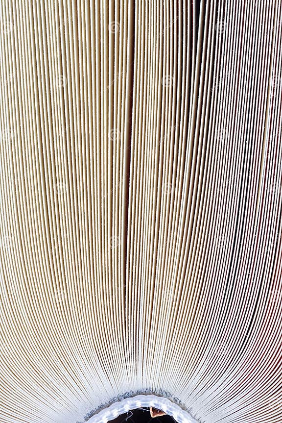 Side View of Open Book Pages Stock Photo - Image of side, pages: 290784918