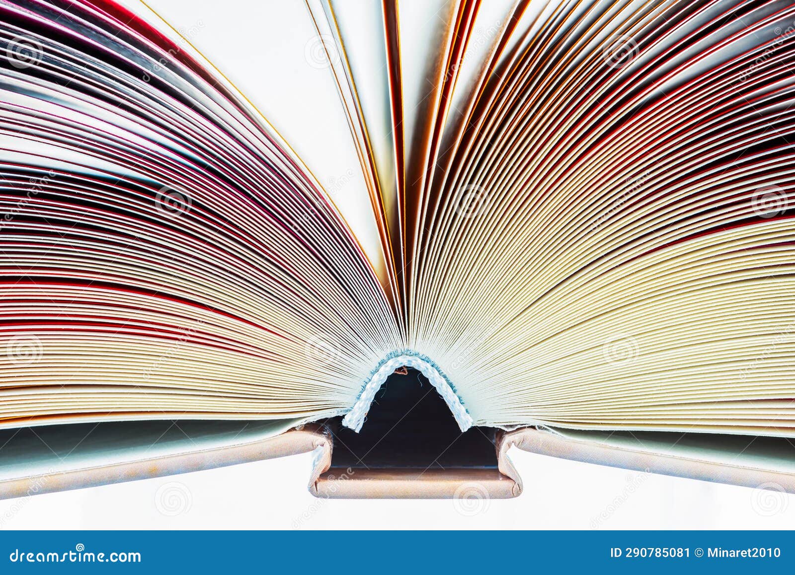 Side View of Open Book Pages Stock Image - Image of book, study: 290785081