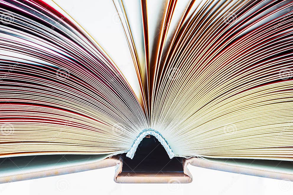 Side View of Open Book Pages Stock Image - Image of book, study: 290785081