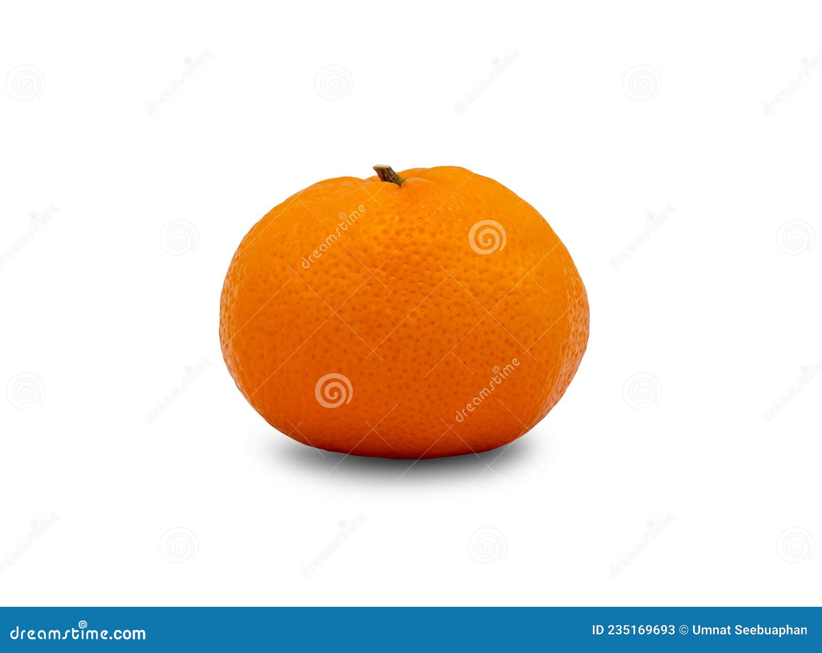 Side View of Orange Isolated on White Background, with Clipping Path ...