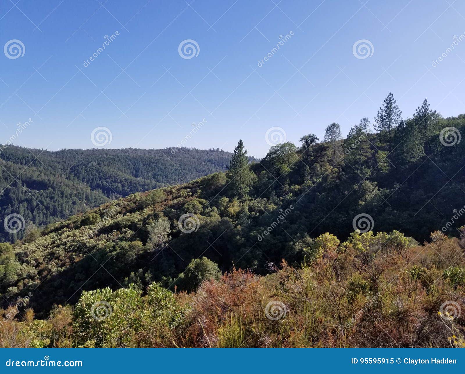 Side View Overlook stock image. Image of overlook, green - 95595915