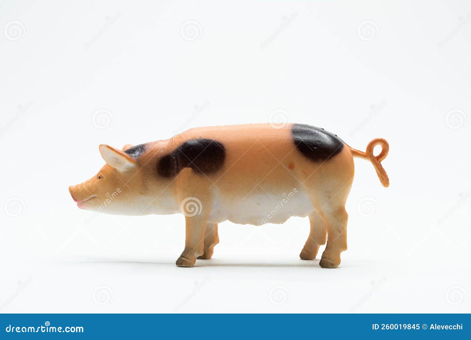 Side View of a Pig Toy on White Background Stock Image - Image of ...