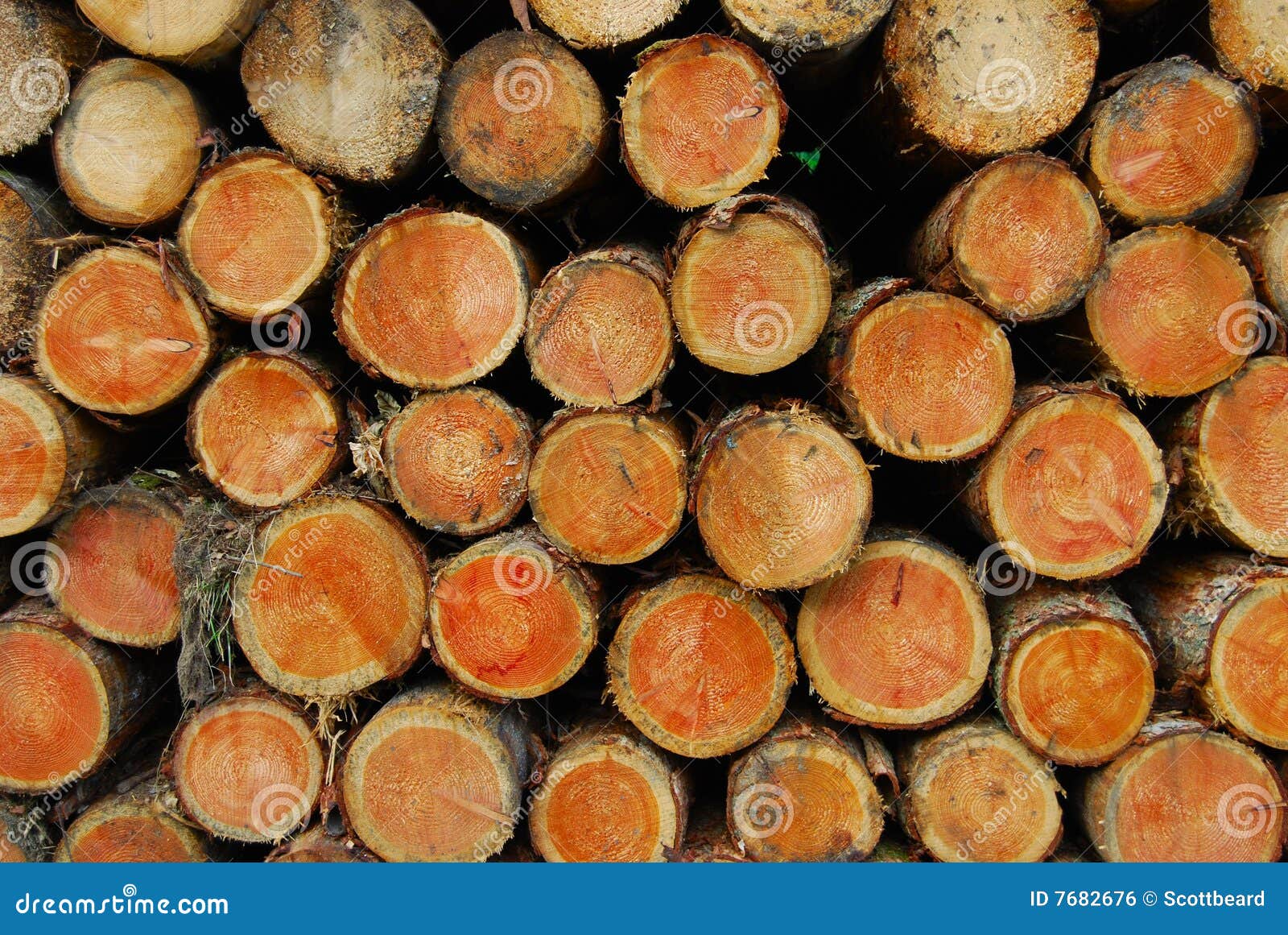 Side View of Pile or Stack of Small Logs Stock Photo - Image of ...