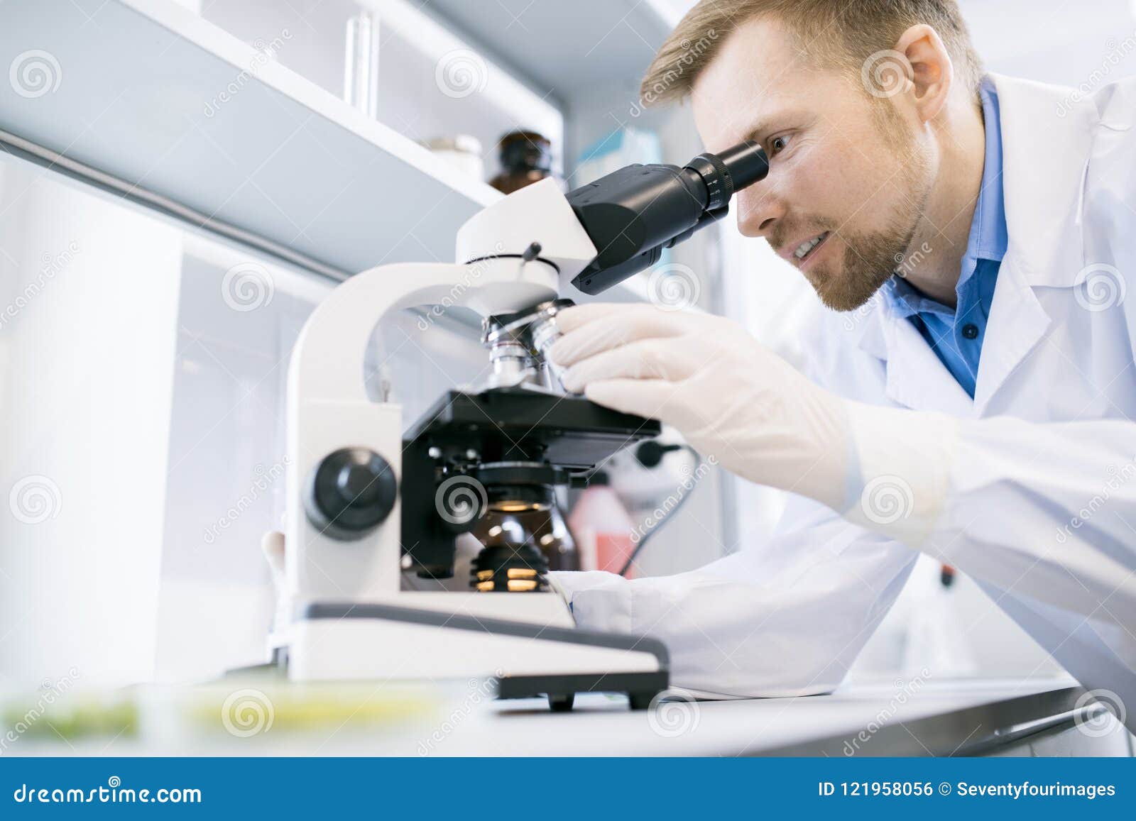 Scientist Using Microscope in Laboratory Stock Photo - Image of ...