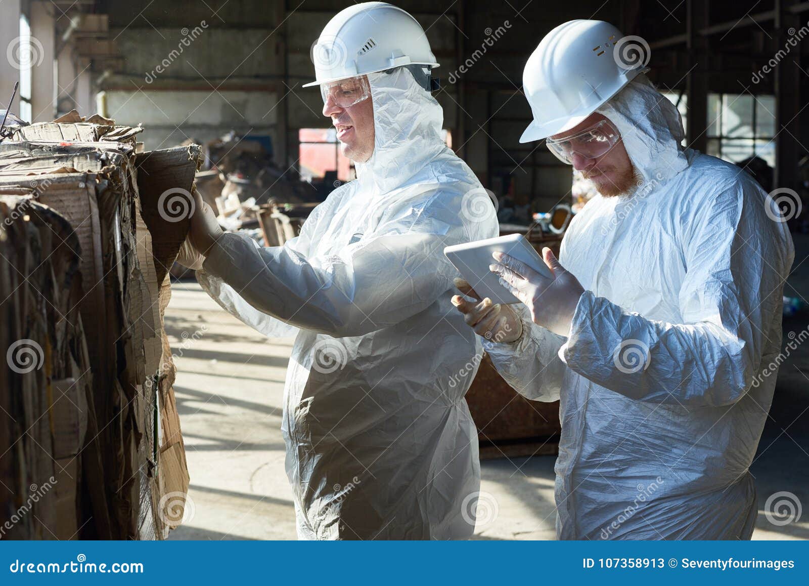 Workers Sorting Reusable Cardboard at Factory Stock Image - Image of ...