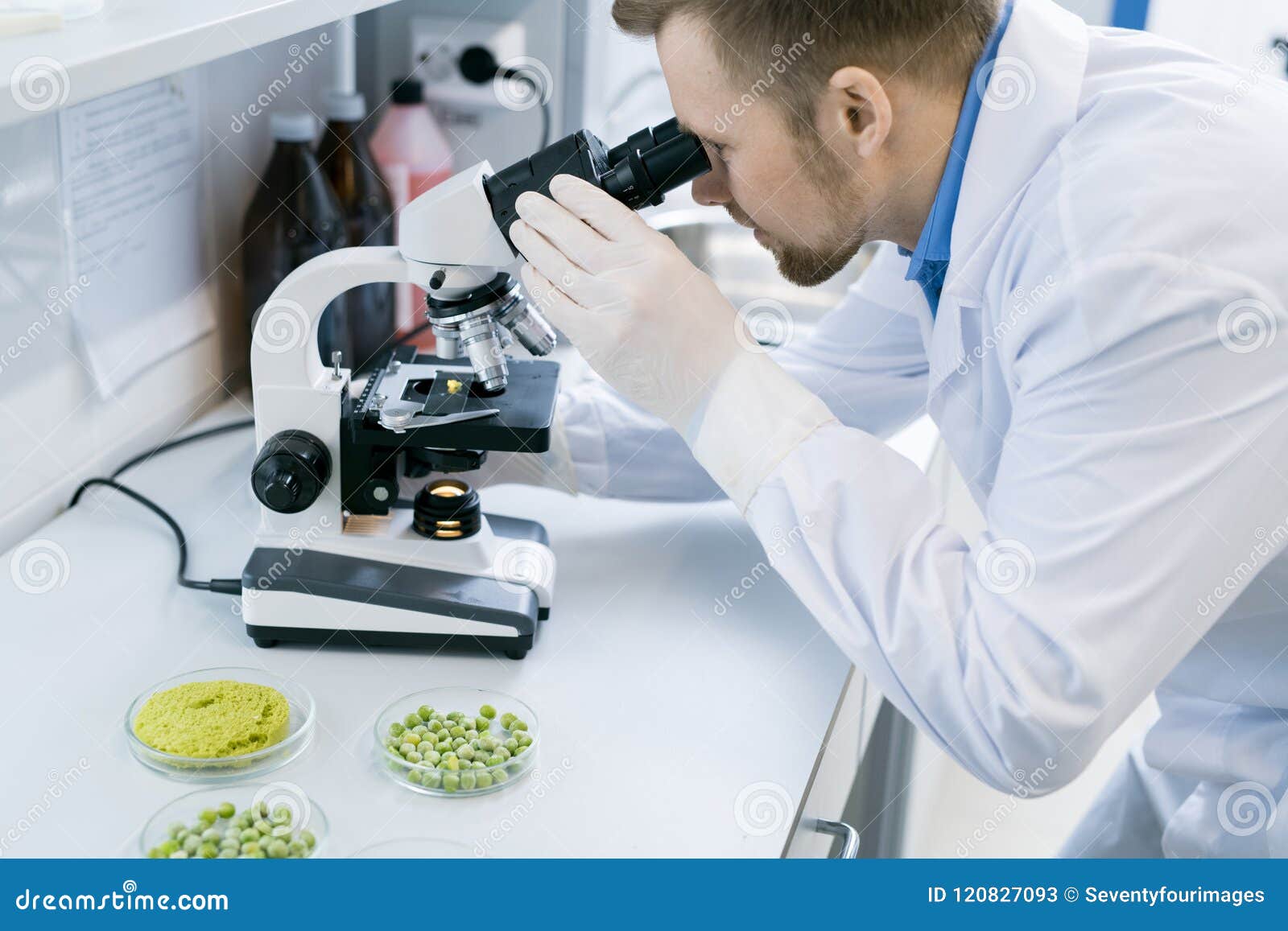 Scientist Using Microscope stock image. Image of genetically - 120827093