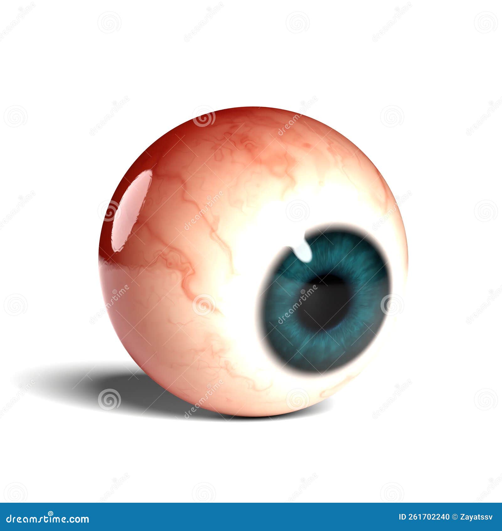 Side View of Realistic Human Eyeball Isolated on Wihte Background, 3D ...