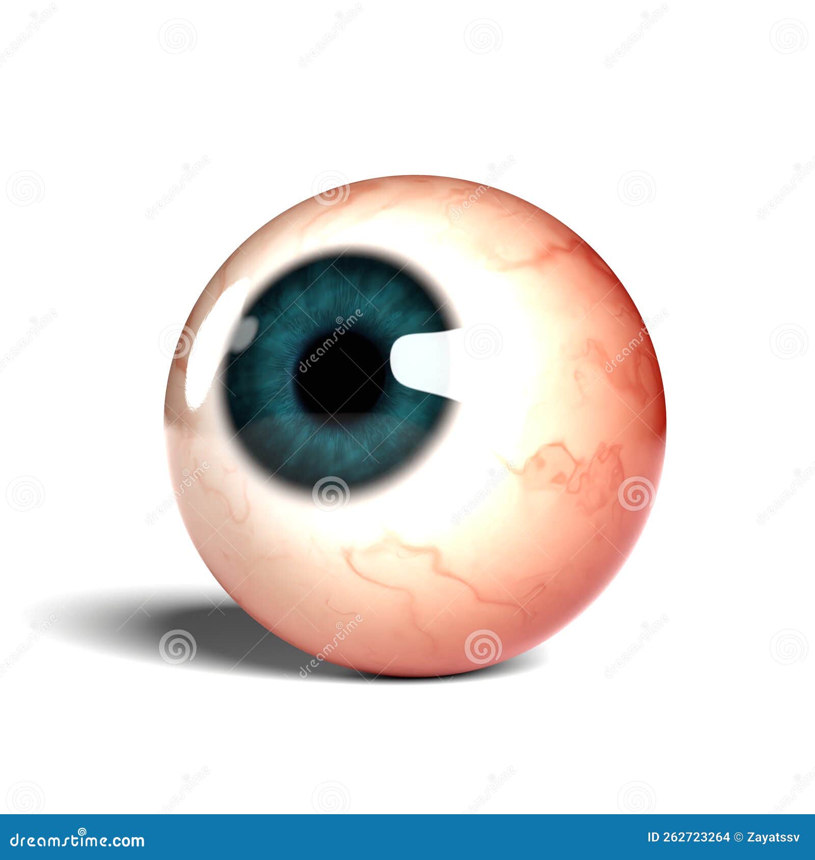 Side View of Realistic Human Eyeball Isolated on Wihte Background, 3D ...