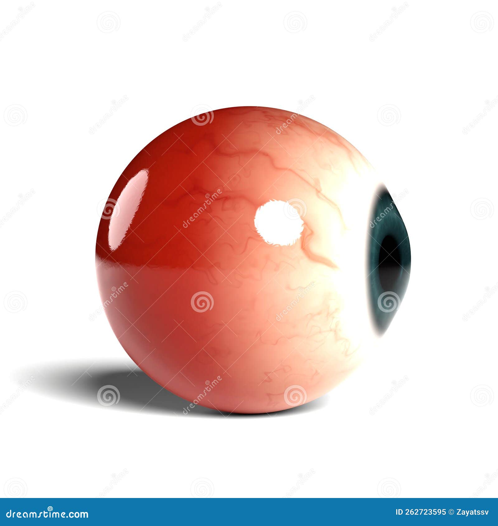 Side View of Realistic Human Eyeball Isolated on Wihte Background, 3D ...