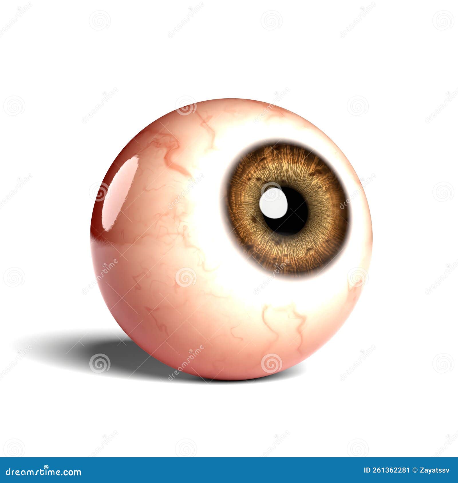 Side View of Realistic Human Eyeball Isolated on Wihte Background, 3D ...