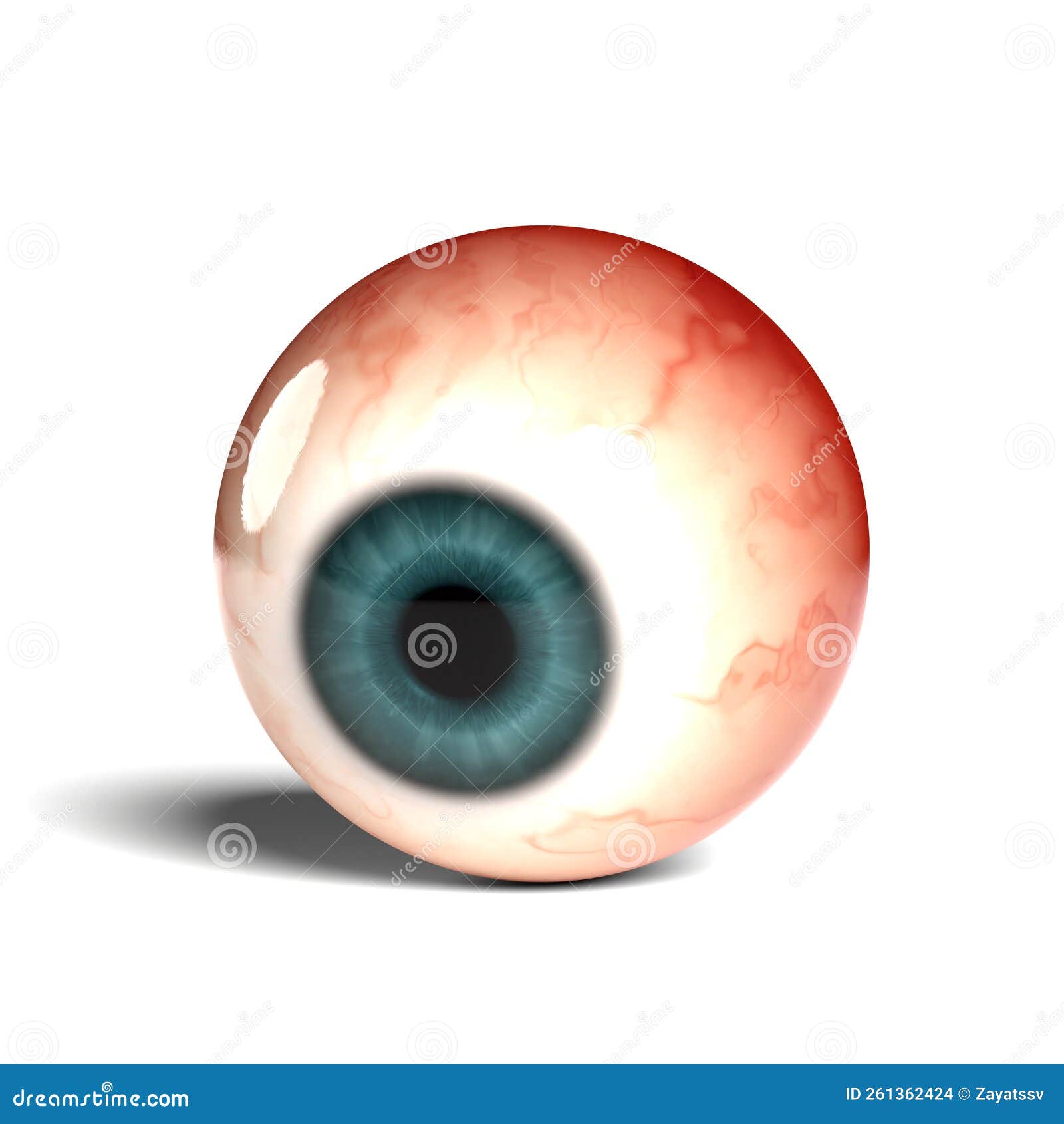 Side View of Realistic Human Eyeball Isolated on Wihte Background, 3D ...