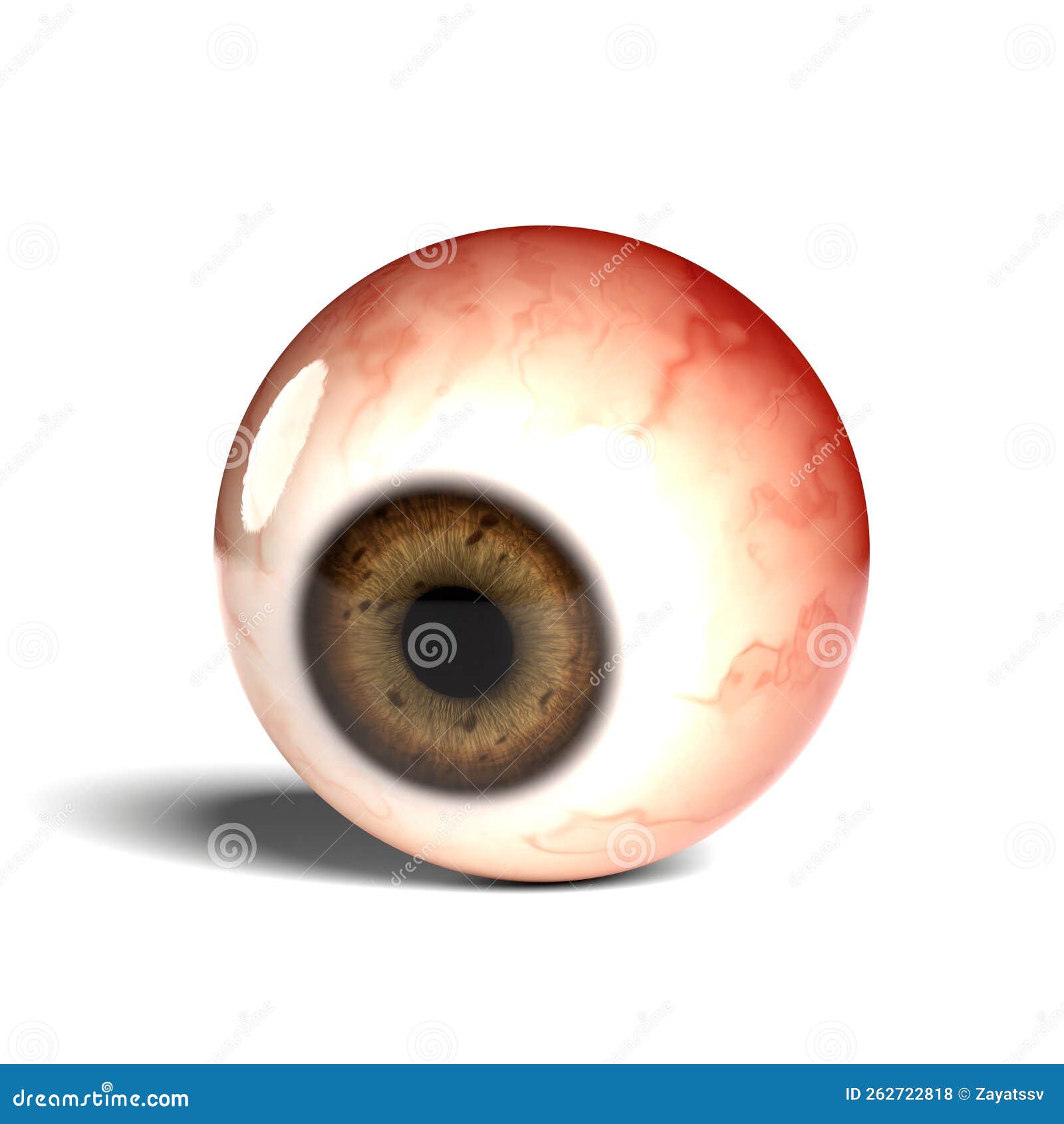 Side View of Realistic Human Eyeball Isolated on Wihte Background, 3D ...