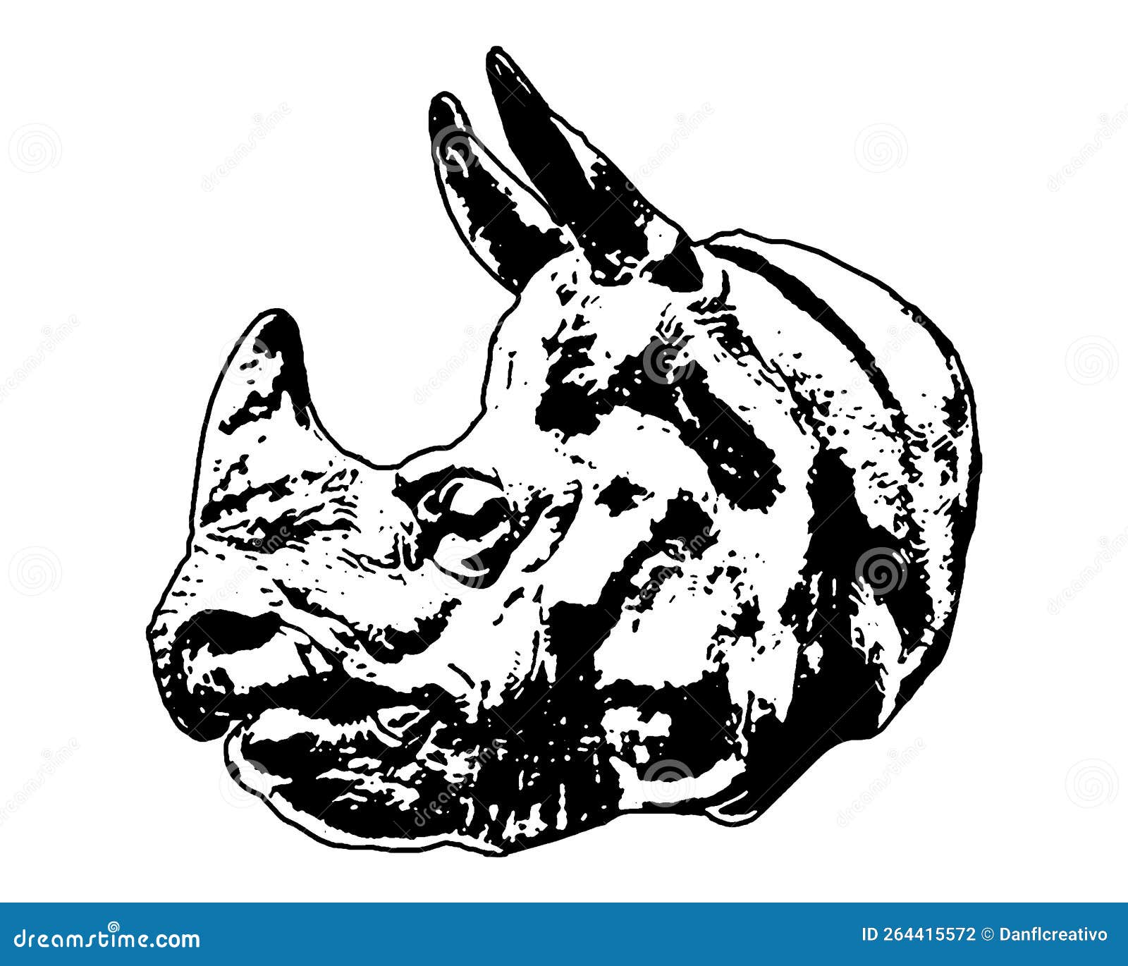 Top View Of Rhino Scarab Or Stag Beetle Cartoon Vector | CartoonDealer ...