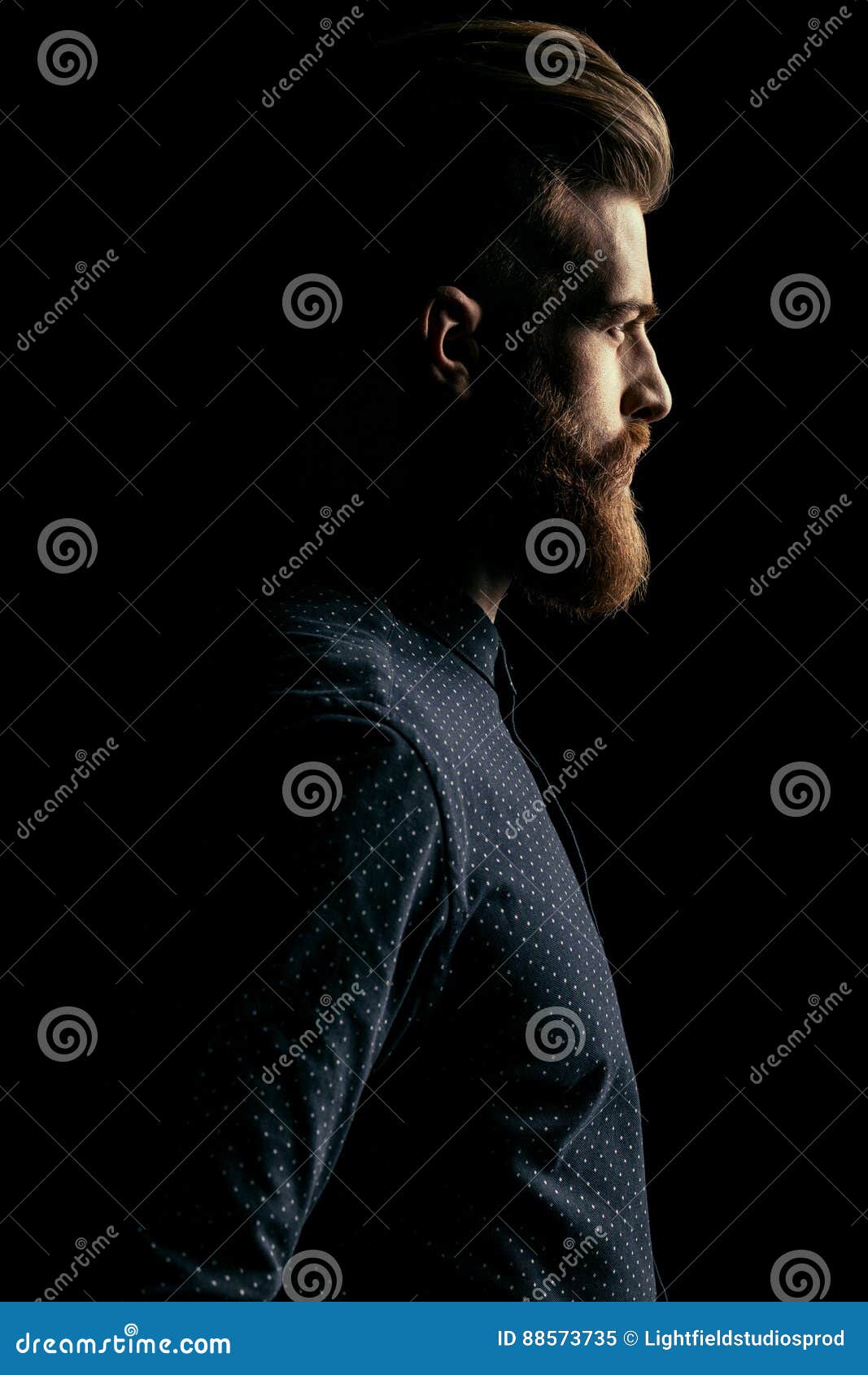 Side View of Serious Handsome Bearded Man Stock Image - Image of ...