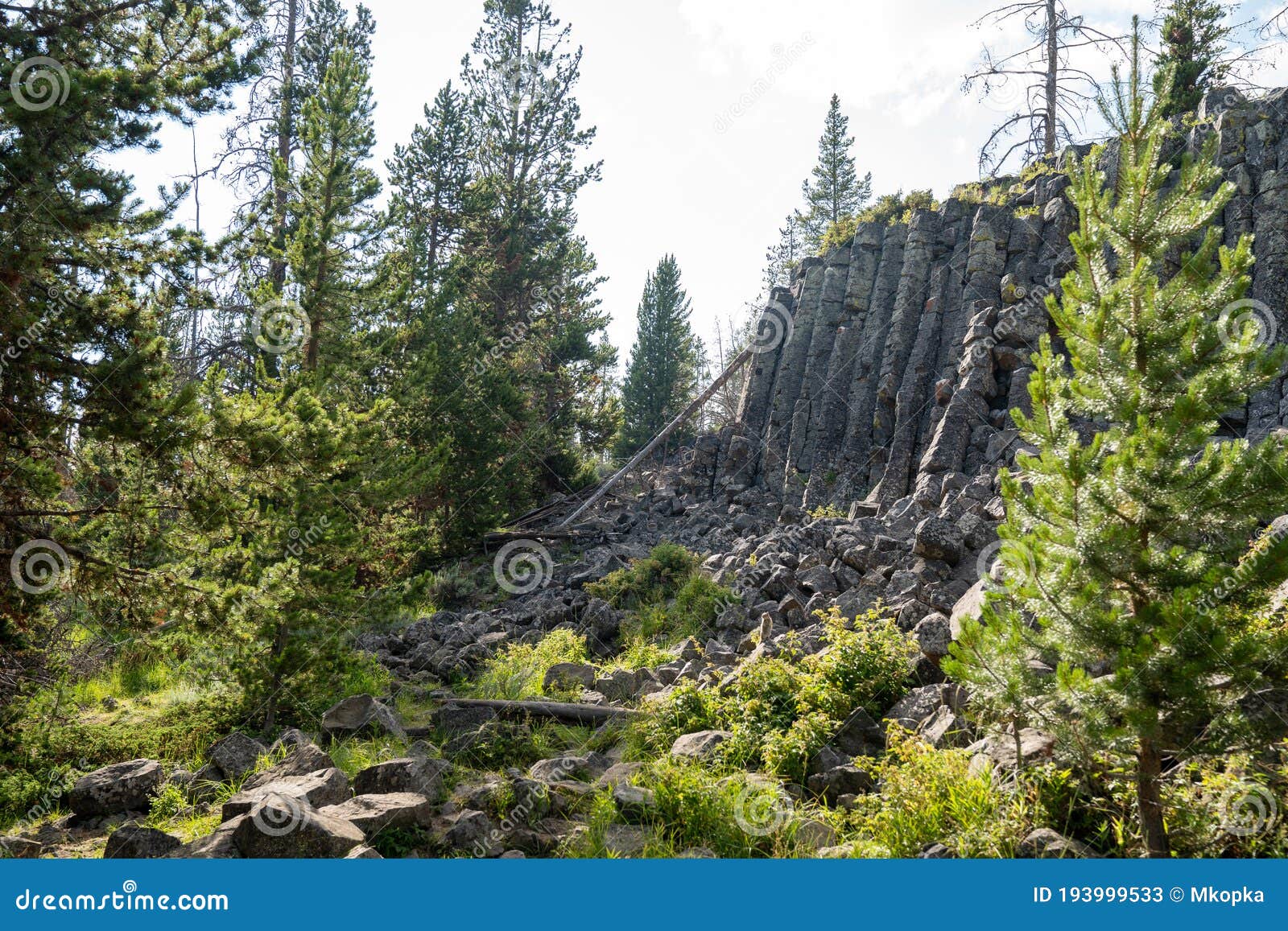 Side View of Sheepeater Cliff, a Column Basalt Geological Feature in ...