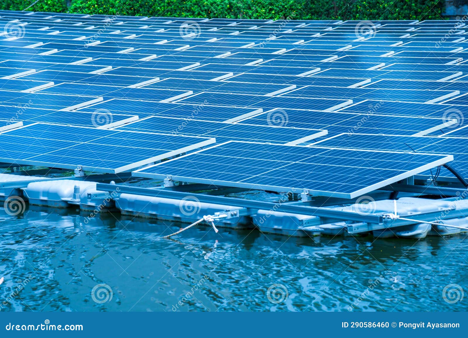 Side View of Solar Panels Floating on Water in a Lake, for Generating ...