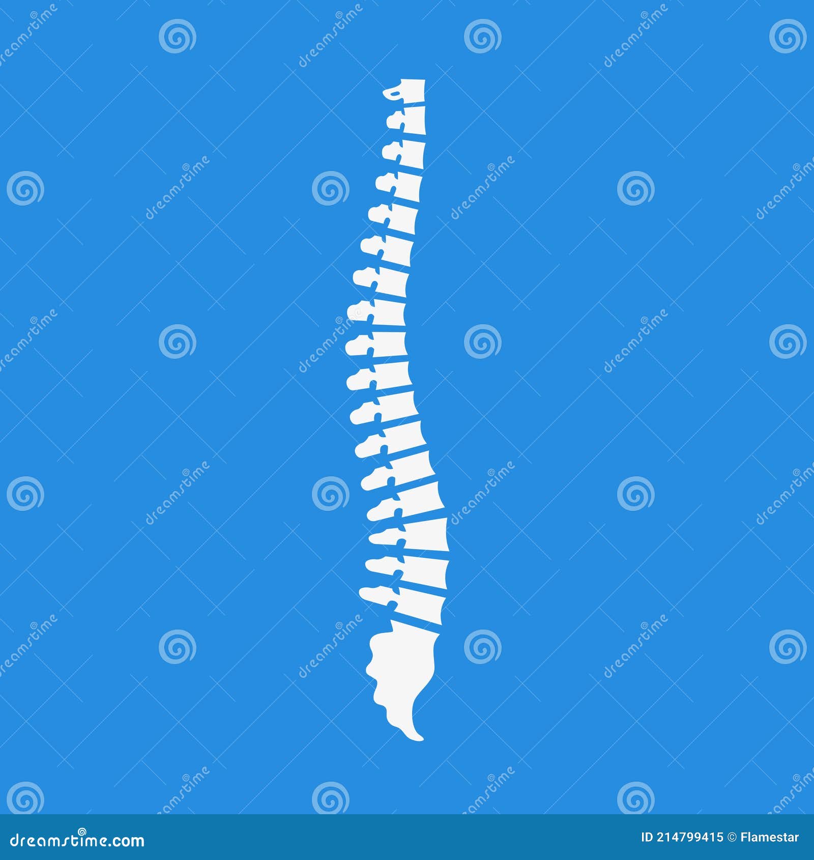 Side View of the Spine on Blue Background Stock Vector - Illustration ...