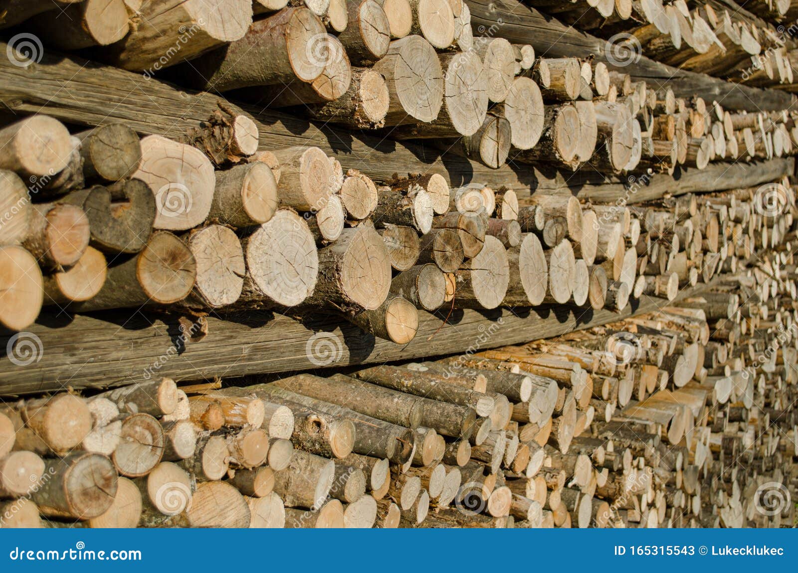Stack of Cut Logs for Firewood Stock Image - Image of changing, beauty ...