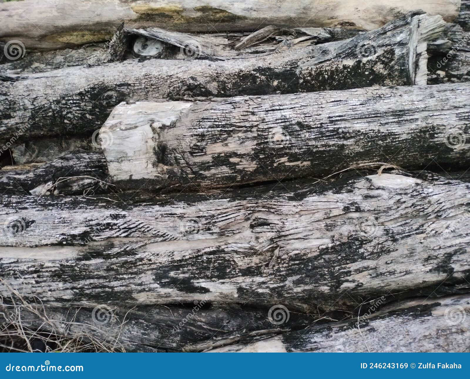 Side View of Stacked of Gray Logs Stock Image - Image of view, stacked ...