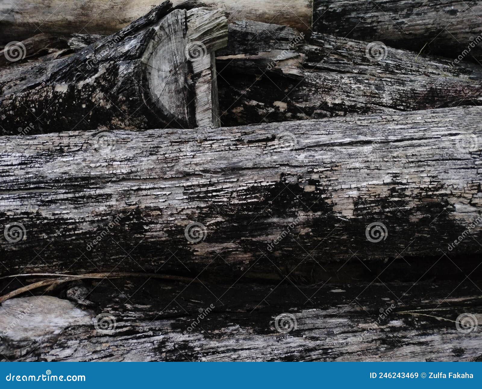 Side of View of Stacked Old Logs Stock Image - Image of view, ruins ...