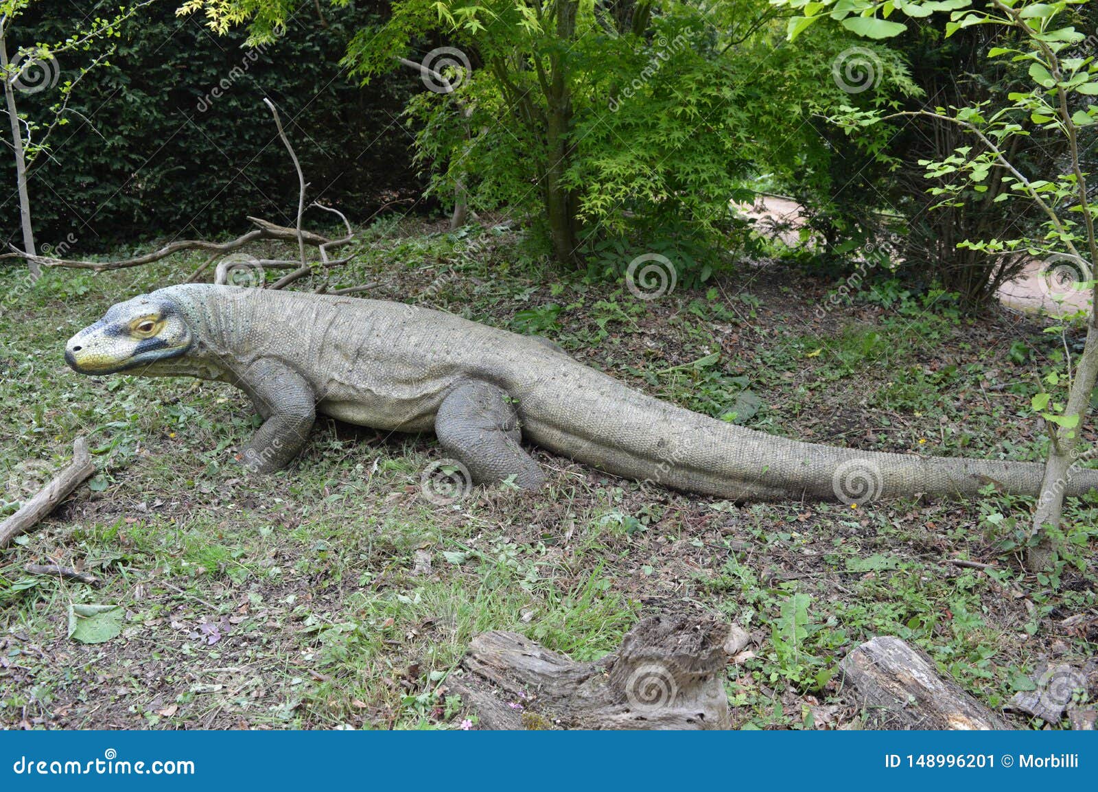 Side View To Big Model of Lizard Stock Image - Image of view, grass ...
