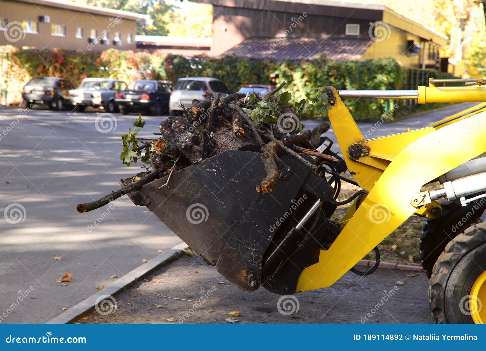 Side View of a Tractor Bucket with Tree Branches during Autumn Cleaning ...