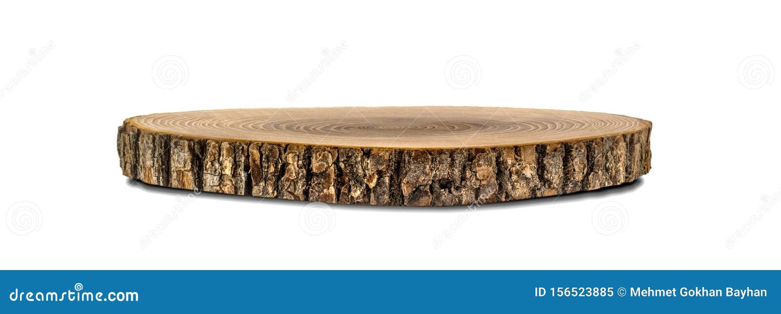 Side View of Tree Trunk, Isolated on White Background. Tree Cross ...