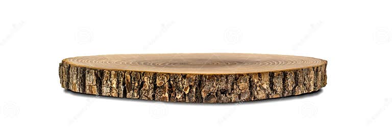 Side View of Tree Trunk, Isolated on White Background. Tree Cross ...