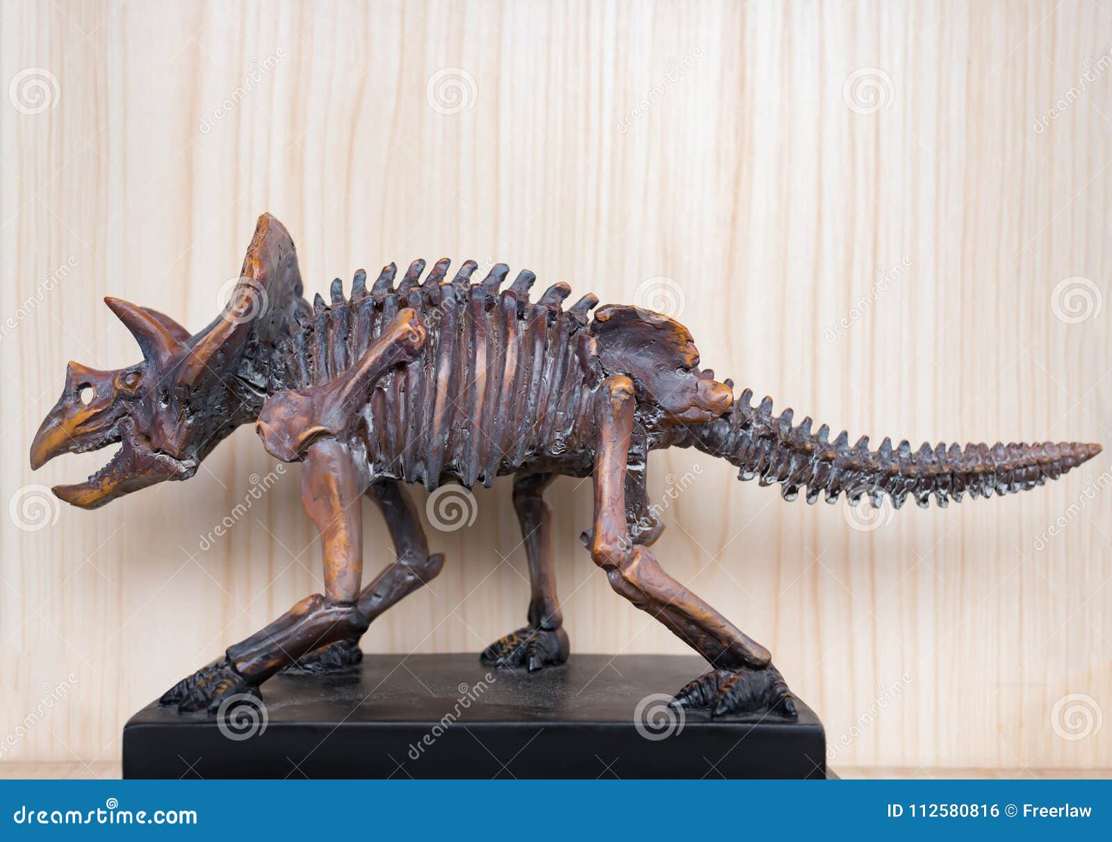 Triceratops Skeleton Dinosaur Toy. Stock Photography | CartoonDealer ...