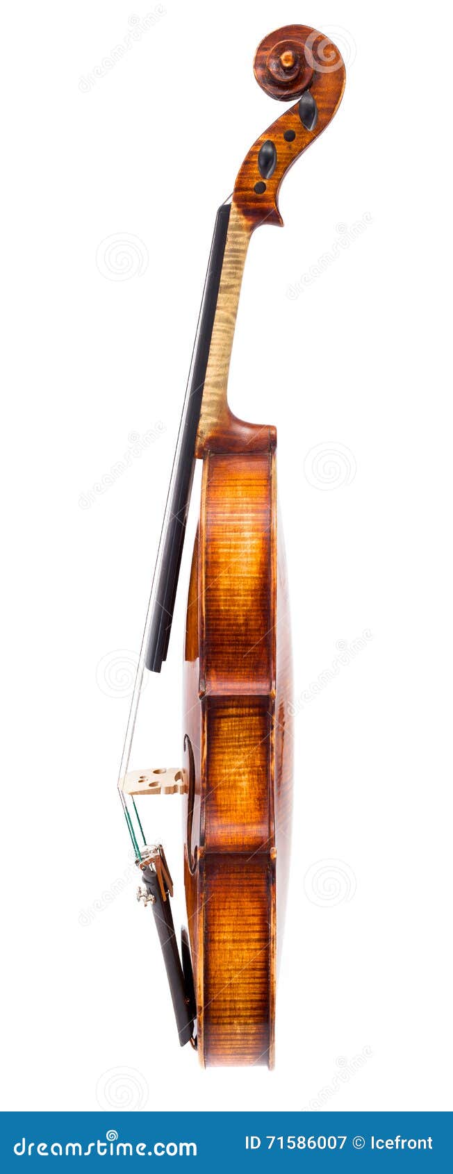 Side view of a violin stock image. Image of music, tailpiece - 71586007