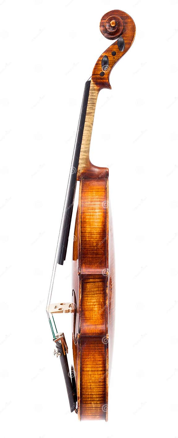 Side view of a violin stock image. Image of music, tailpiece - 71586007