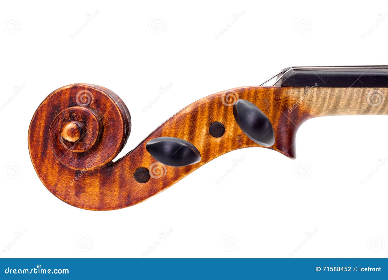 Side View of Violin Pegs and Scroll, Isolated Stock Photo - Image of ...
