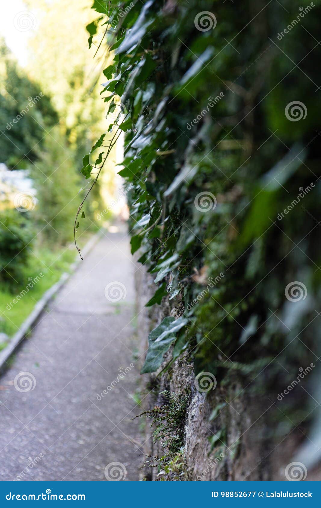 Side View of Wall with Pathway in Park Stock Image - Image of detail ...