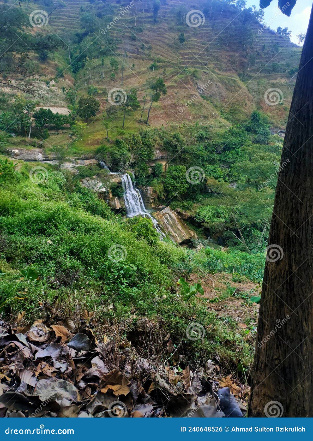 Side view waterfall stock photo. Image of valley, terrain - 240648526