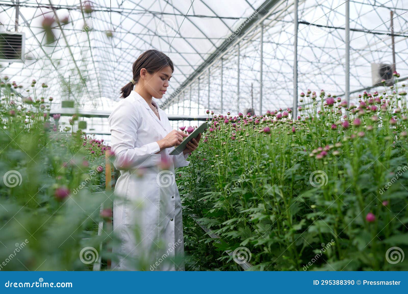 Side View of Young Confident Female Scientist or Researcher Using ...