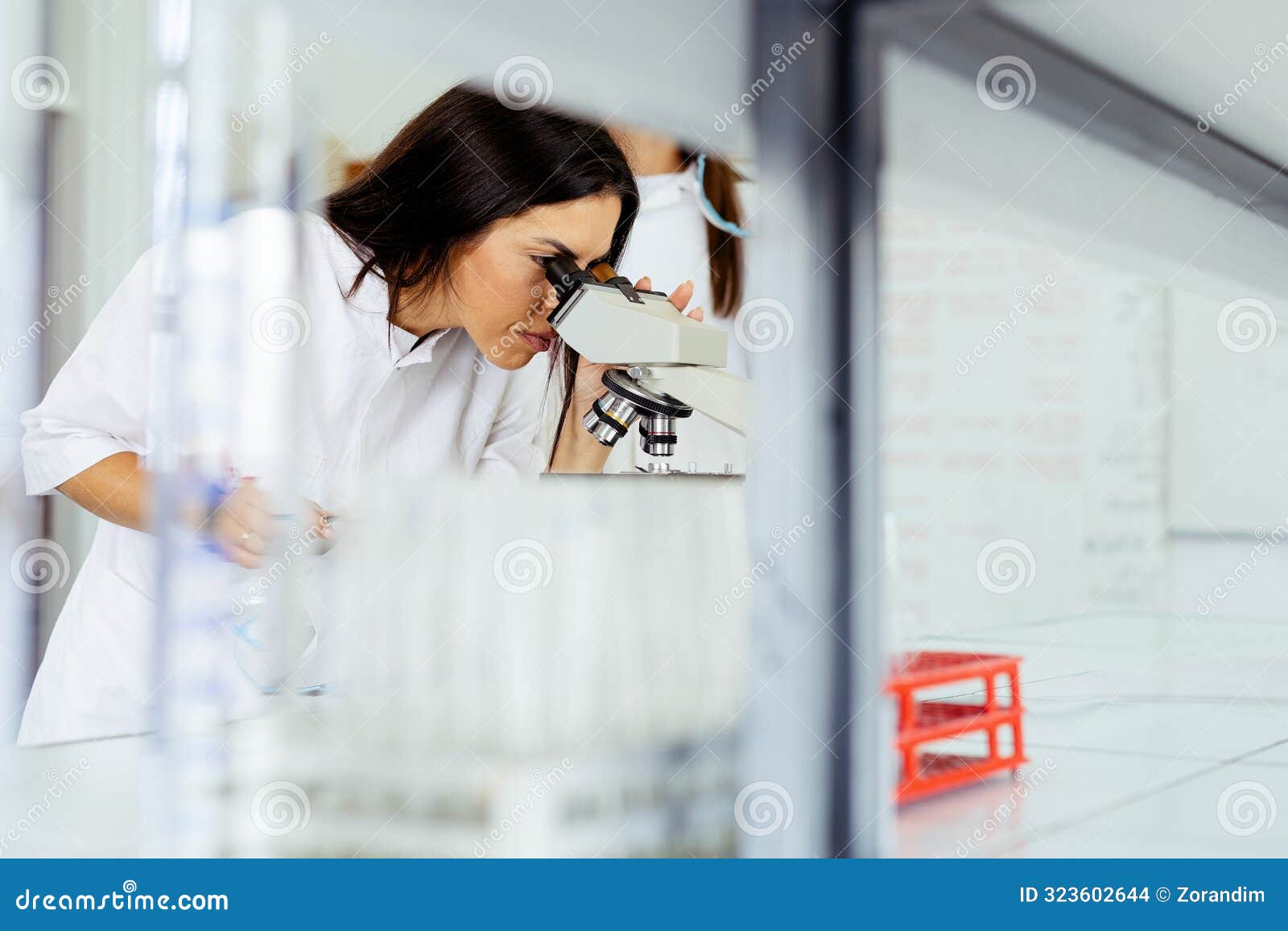 Side View of Young Female Scientist Looking through Microscope. Stock ...