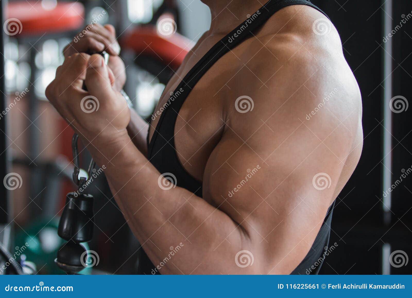 Side View of Young Muscular Athletic Stock Image - Image of bicep ...