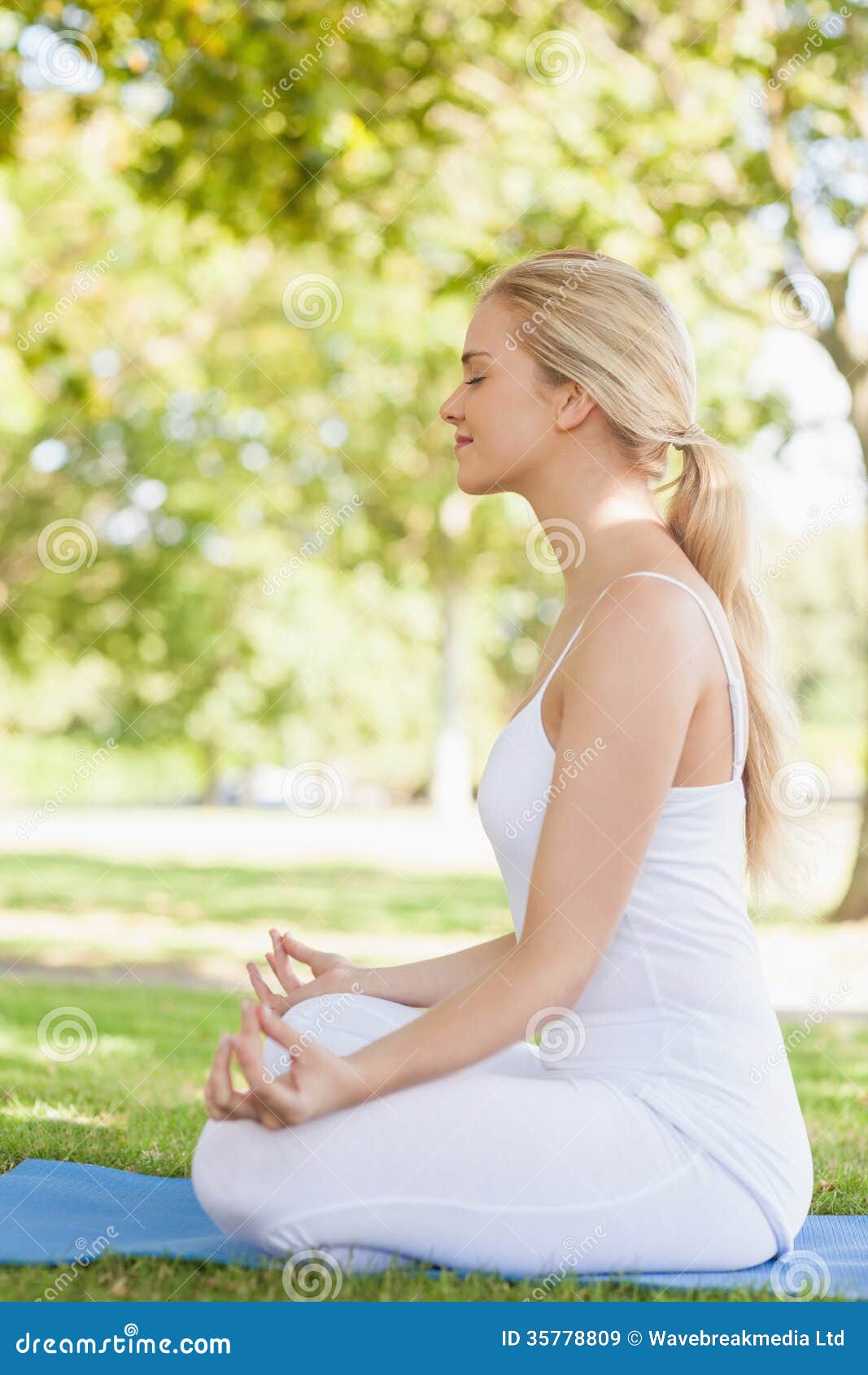 Side View of Young Woman Meditating Sitting on an Exercise Mat Stock ...
