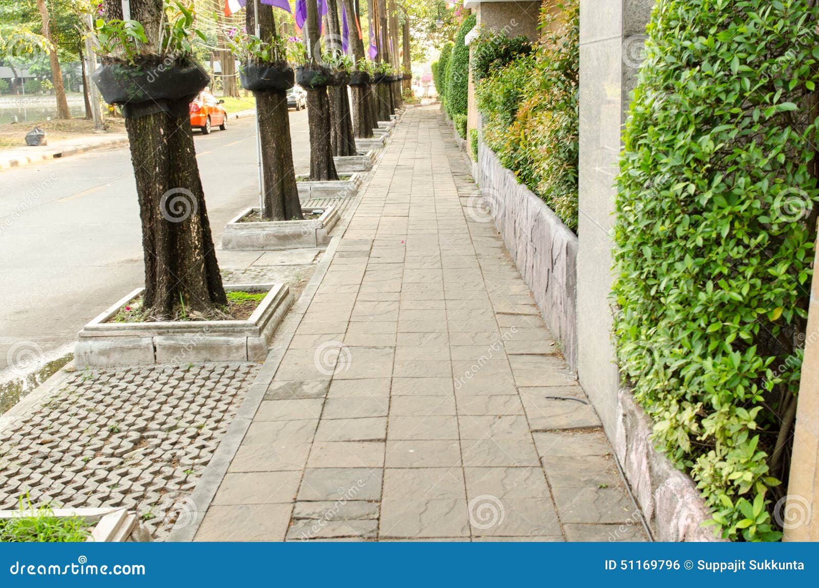 Side walk in the park stock photo. Image of landscape - 51169796