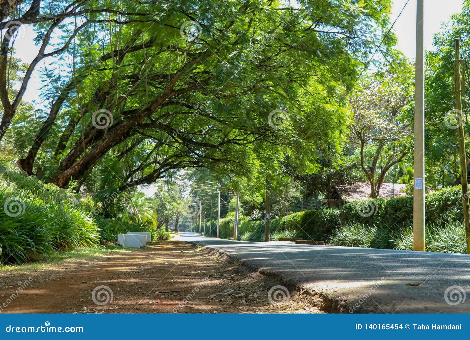 Side way view stock photo. Image of side, view, covering - 140165454