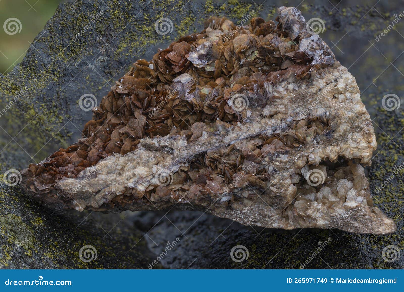 Siderite Mineral Sample on Stony Background Stock Image - Image of ...