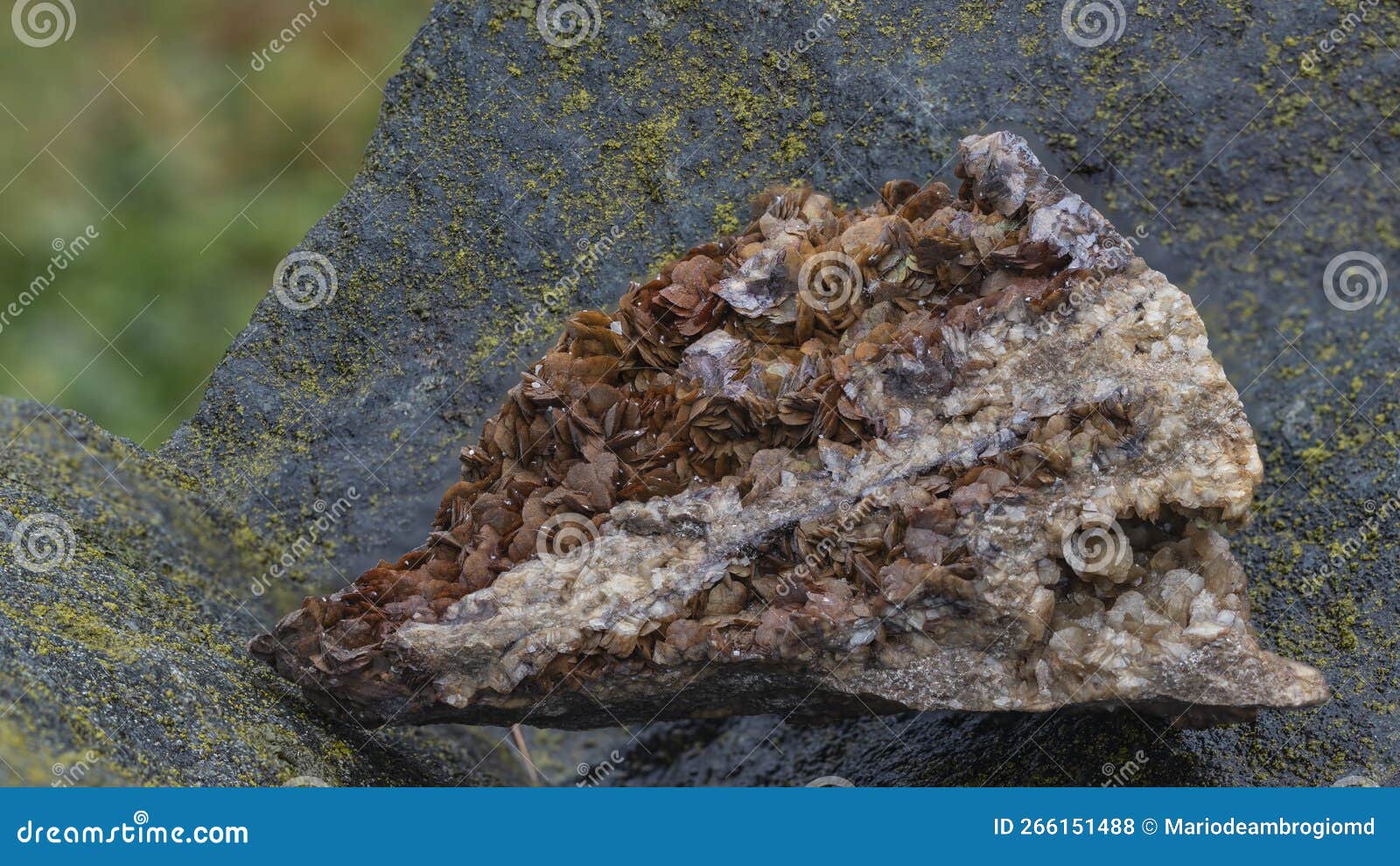Siderite Sample from Italy on a Rock Used As a Background Stock Photo ...