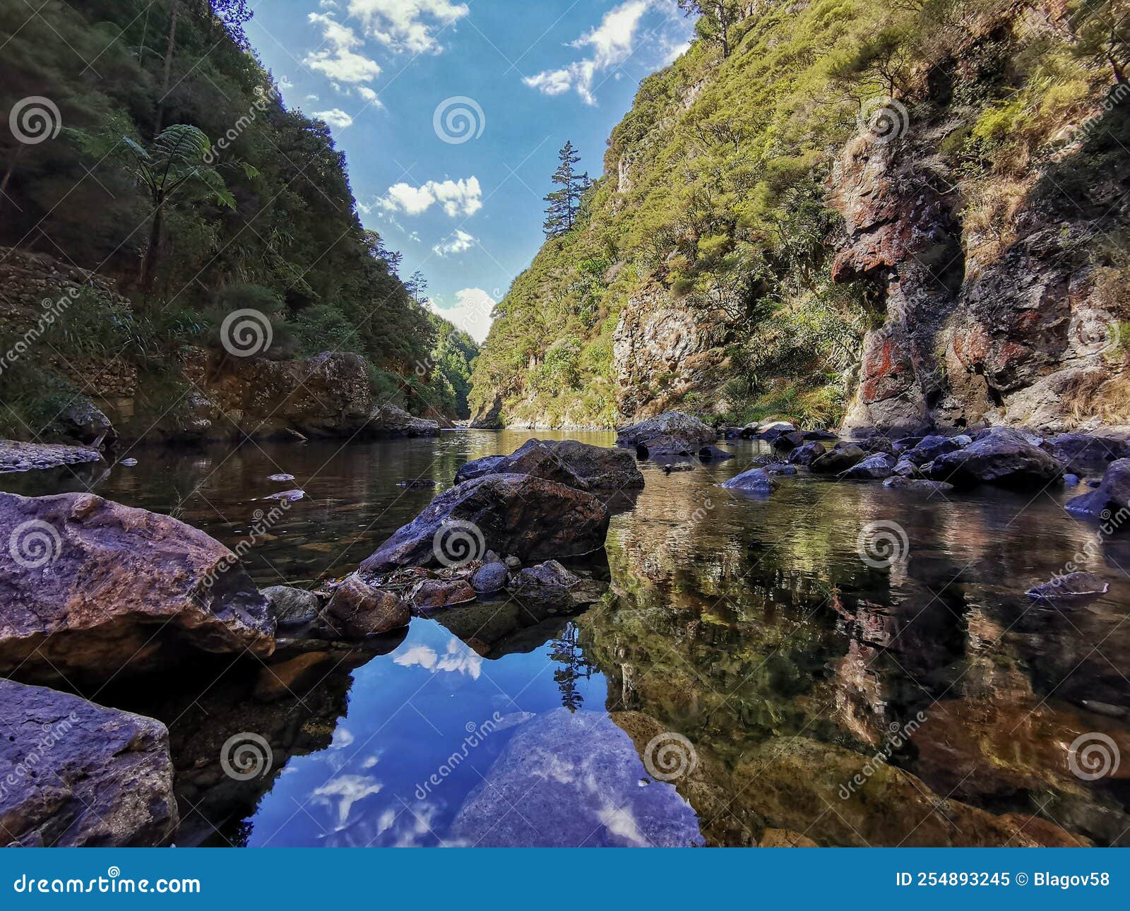 Deep Gorge Of Reka River At Skocjan Caves Royalty-Free Stock ...