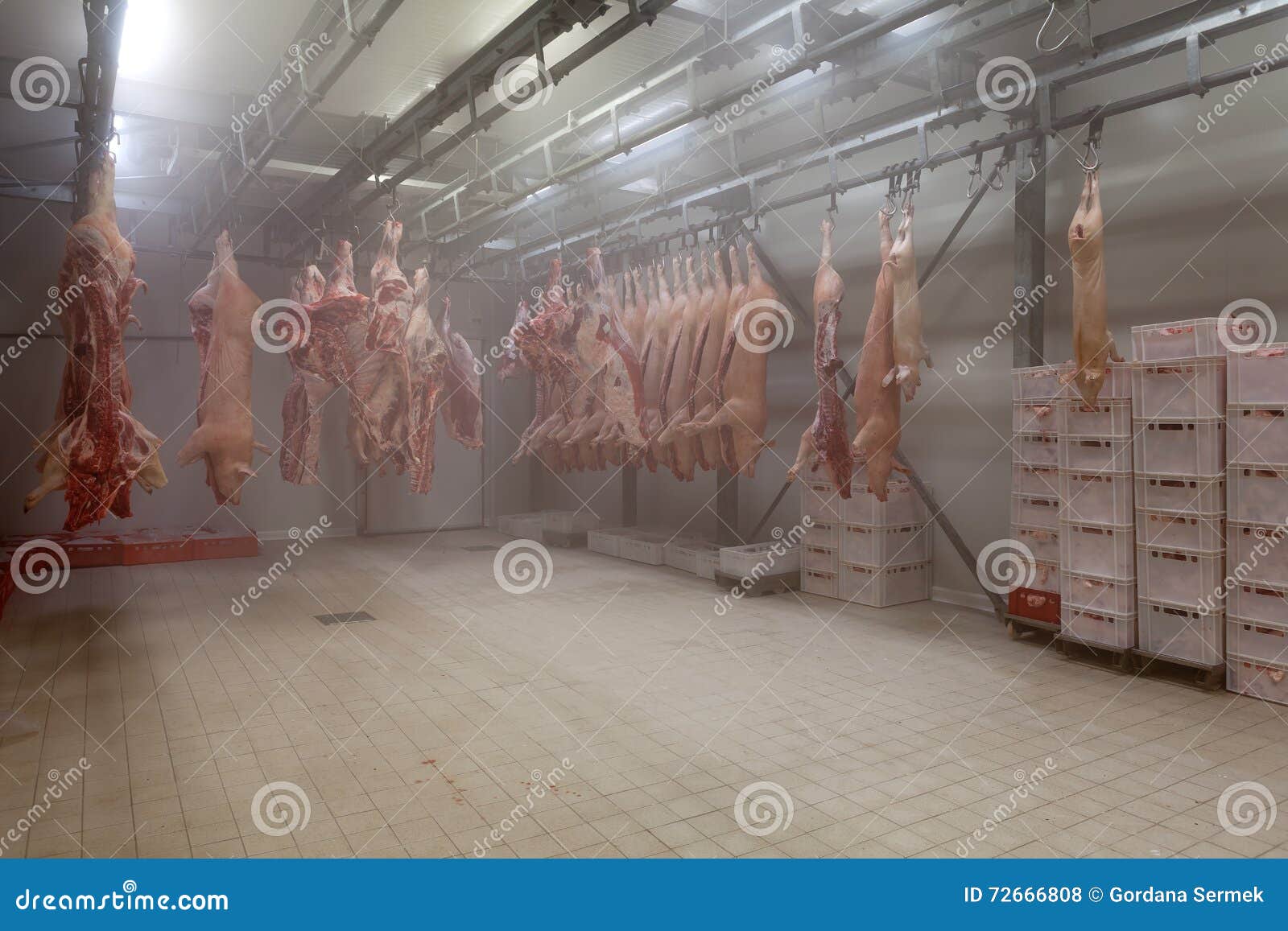 Sides of Pork Hanging from Hooks Stock Photo - Image of halves, butcher ...