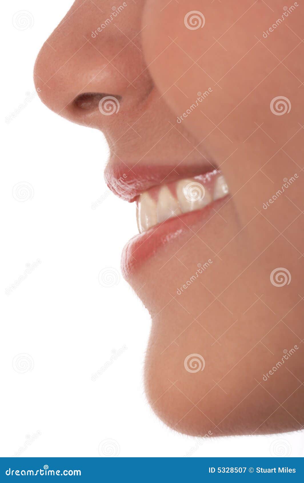 Sideview face stock image. Image of beauty, white, happiness - 5328507