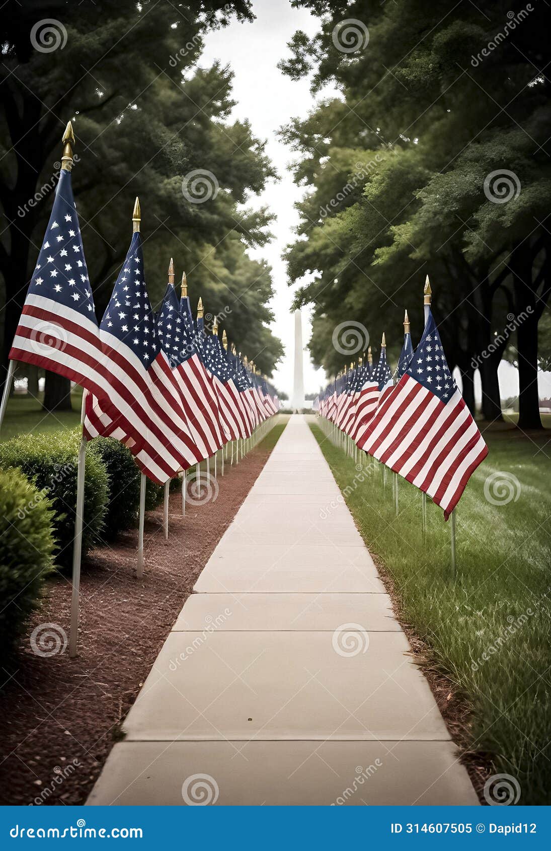 A Sidewalk with American Flags are Standing on the Side of Pathway Lead ...